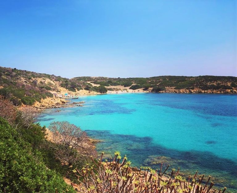 Cala Sabina | Porto Torres | Asinara Island | Sassari| Sardegna | Italy